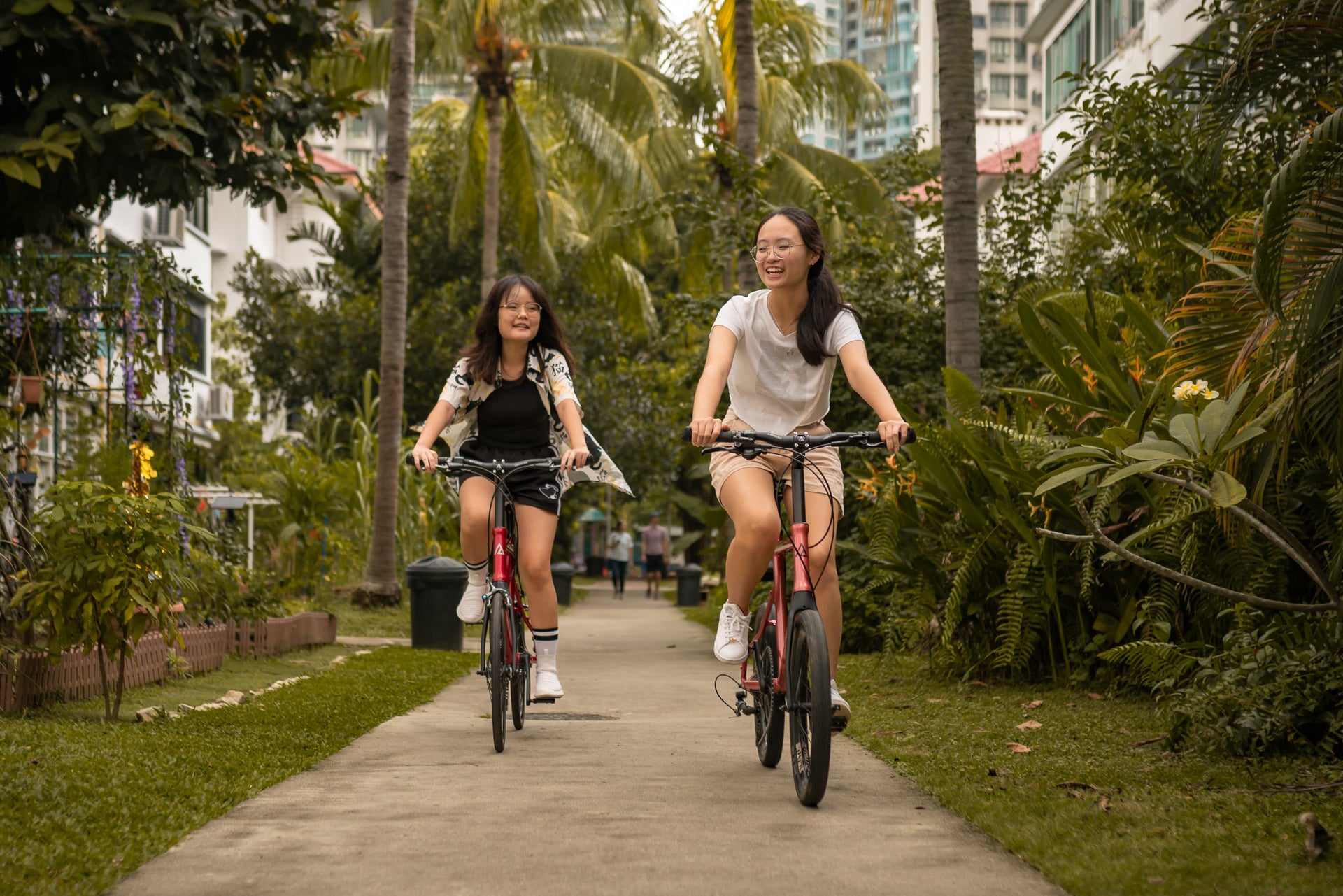 Ascent Mini Velo – Ascent Bikes
