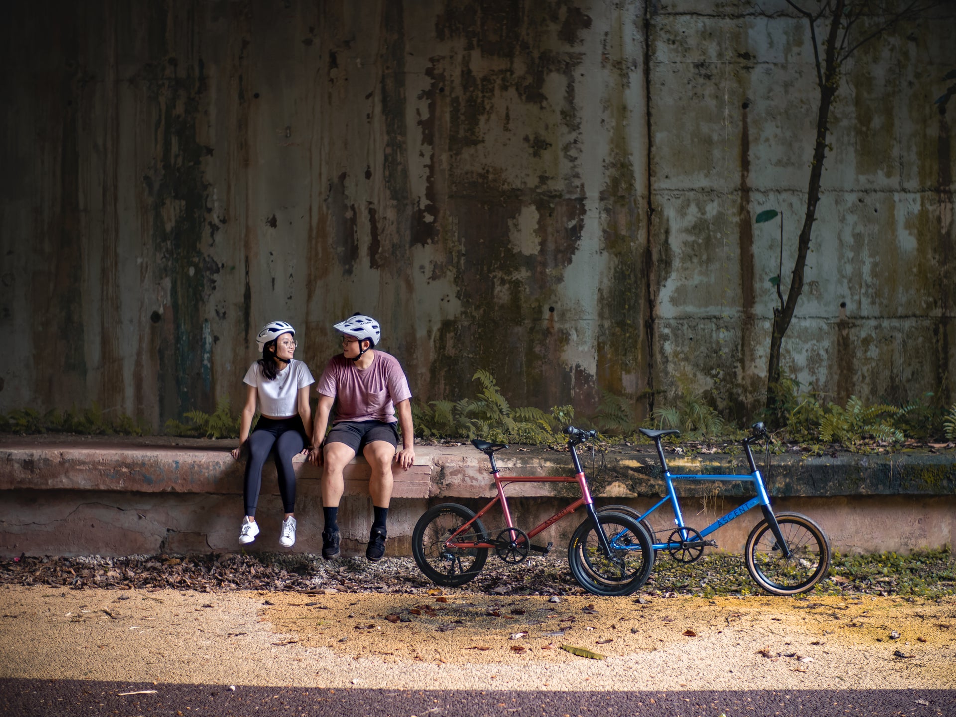 About Us – Ascent Bikes